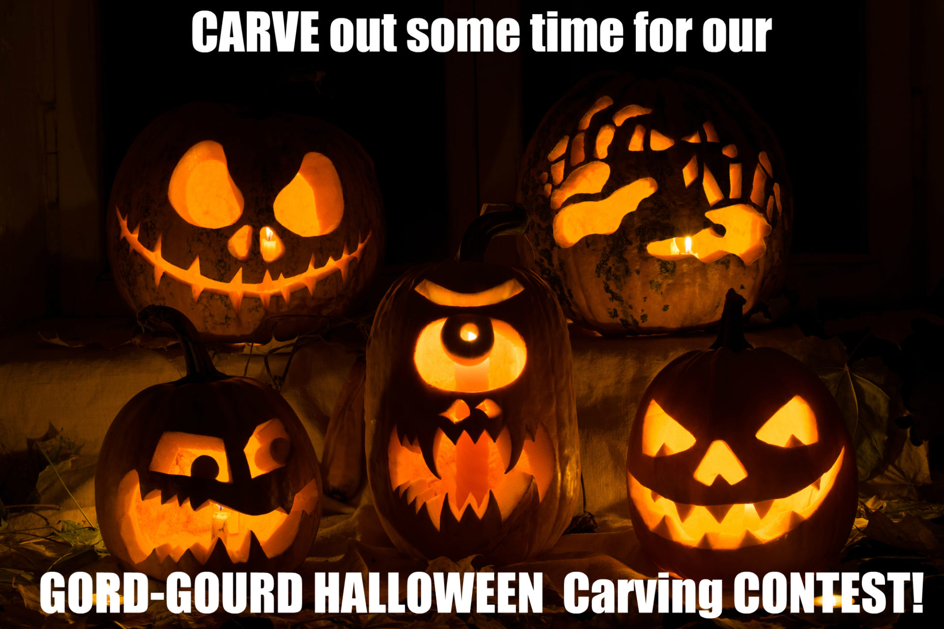 GORD-GOURD CONTEST! - Gordon's Window Décor -Home of EcoSmart Shades